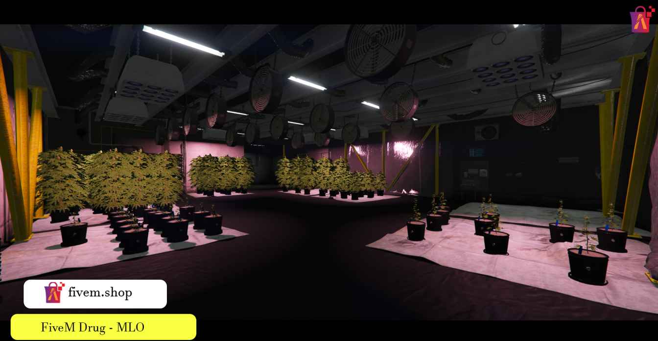 Fivem Weed Farm | Explore Weed Processing Locations