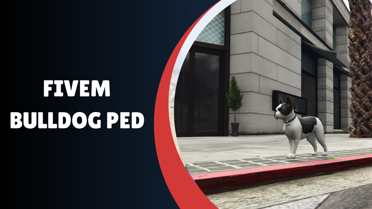 FiveM Bulldog Ped - Custom Pet Experience in this server.